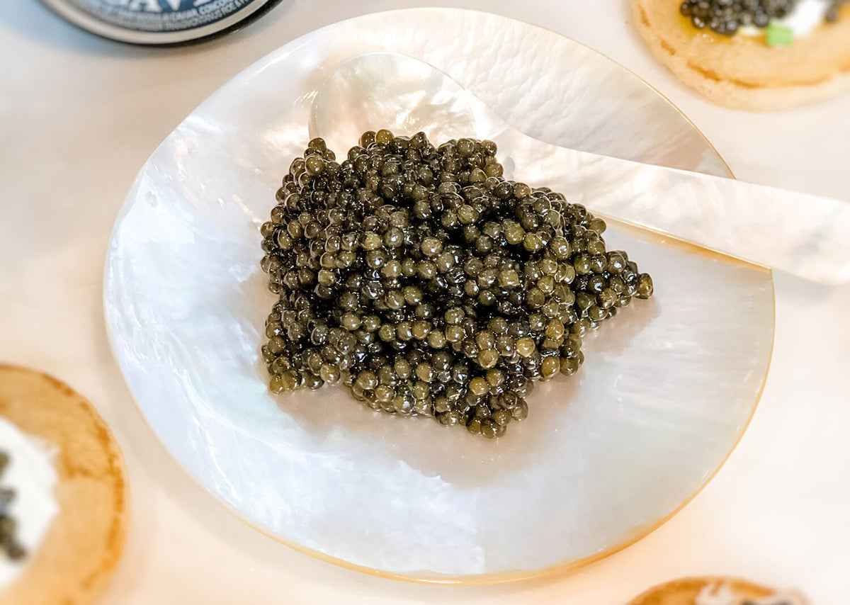 Pearl Plates – Kilo Caviar